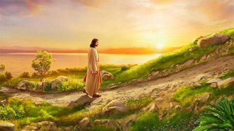 Los milagros de Jesús en la Biblia
