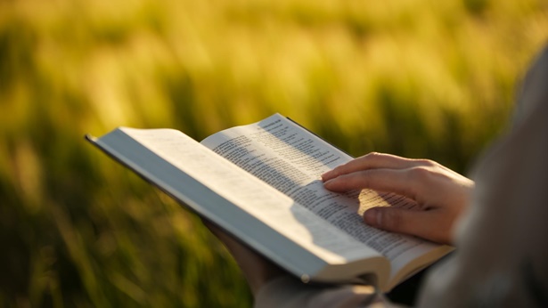 Explicación de Apocalipsis 14:1: ¿Quiénes son los 144 mil sellados del ...